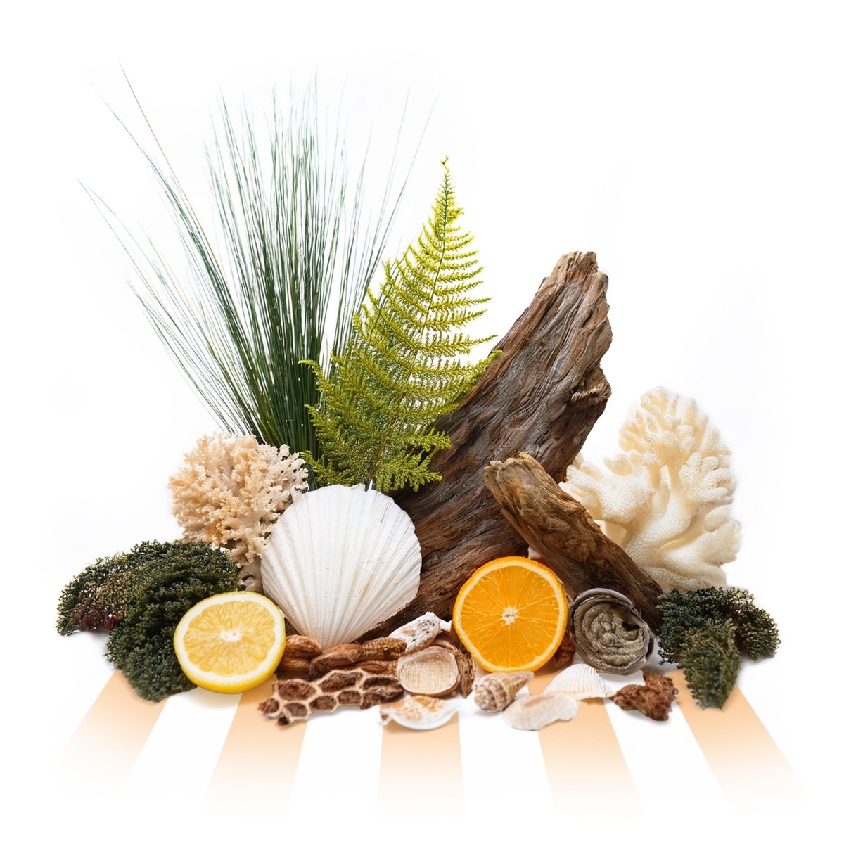 Seaweed Juniper - Hoover Discs – Pick n Melt