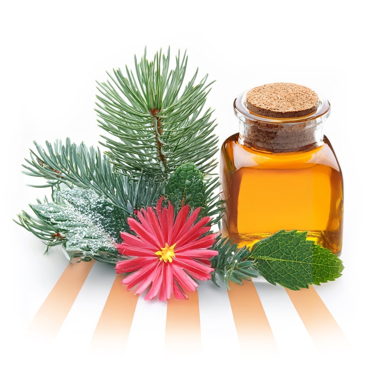 Spruce Peppermint - Jar Candles – Pick n Melt
